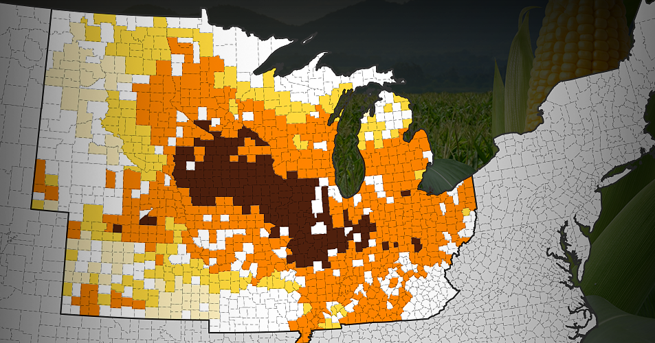 미국 농무부보다 더 빠른 옥수수 수확량 예측 모델 Earthpaper